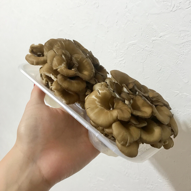 写真 (1枚目) - お茶を飲むだけでダイエット！？ 鍋で煮出すだけの[舞茸茶]が3週間で－3kg！ - LOCARI（ロカリ）