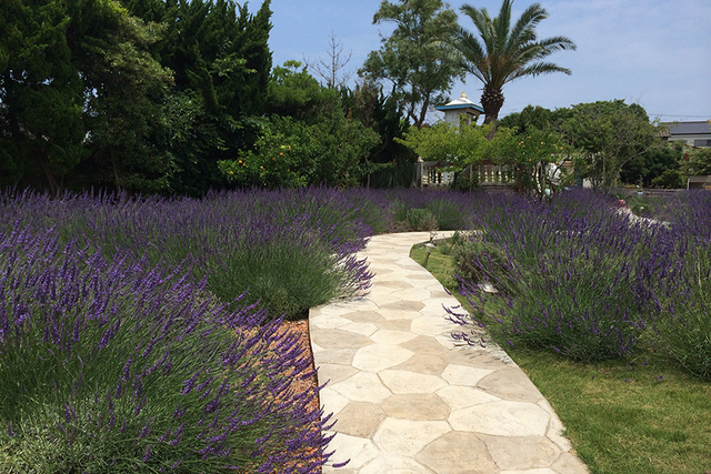 写真 (12枚目) - 視界いっぱいのヒマワリに感動！夏デートで行きたい関東の「お花畑」7選[2019年版] - - LOCARI（ロカリ）