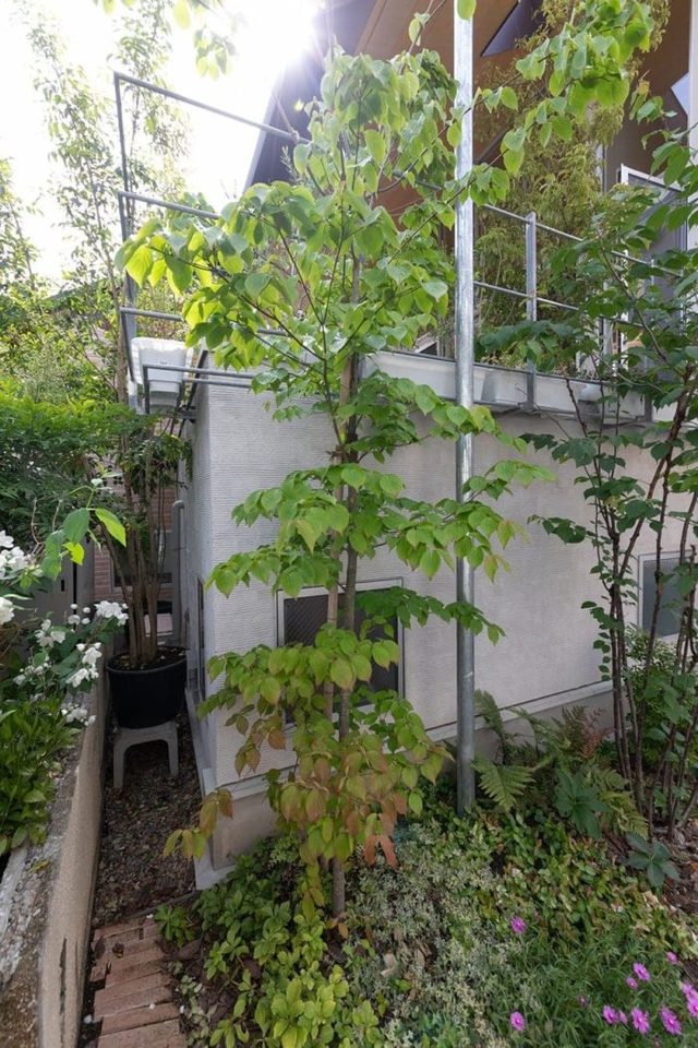 写真 (27枚目) - 職、住、街をゆるやかにつなぐ大屋根が生み出す庭&アウトドアリビング - - LOCARI（ロカリ）