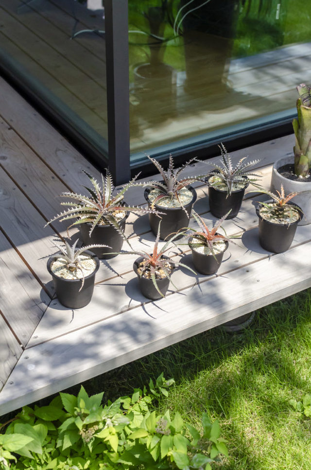 写真 (19枚目) - 丘と一体化した2世帯住宅庭の眺めを楽しみながら心地良く暮らす - LOCARI（ロカリ） - LOCARI（ロカリ）