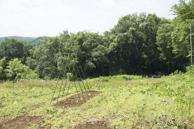 写真 (11枚目) - 代々木公園人気ベーカリー「365日」が農業を始めた理由 vol.2 - - LOCARI（ロカリ）