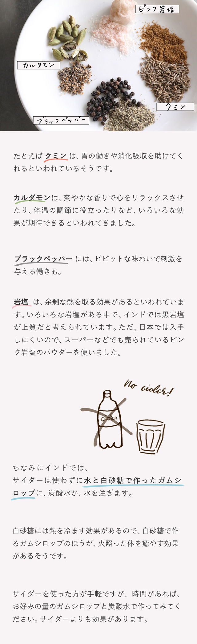 写真 (3枚目) - 夏疲れ解消はスパイスで。インドのお母さんの味 ニンブーソーダの作り方 - LOCARI（ロカリ）