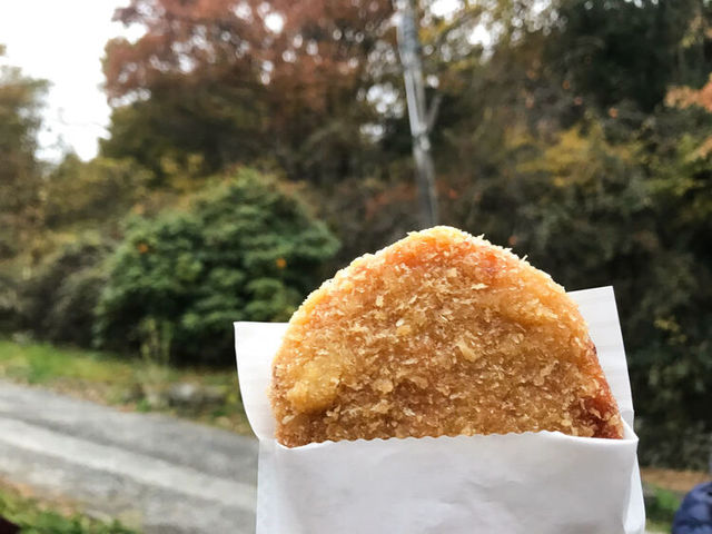 写真 (14枚目) - 満腹刑事の食べ歩き捜査線。神石高原編 その1 - LOCARI（ロカリ） - LOCARI（ロカリ）