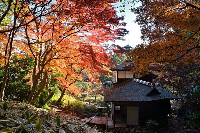 写真 (8枚目) - 日帰りで行ける関東の紅葉まつり9選！人気の長瀞に船上の紅葉観賞も・・[2019年最新版] - LOCARI（ロカリ）