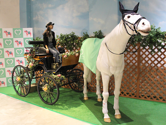 写真 (4枚目) - ぜ〜んぶ無料で楽しめる！この秋、表参道でUMAJOデビューします♡ - LOCARI（ロカリ）