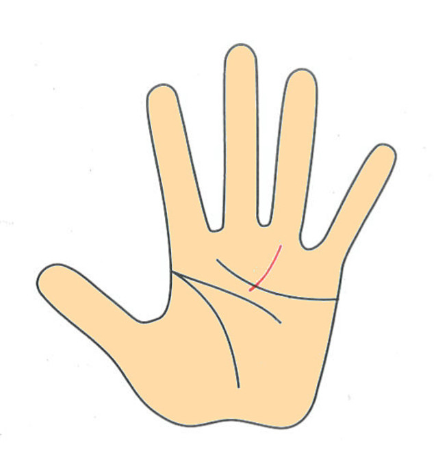 写真 (7枚目) - 金運がダダ下がる！「貯まらないNG手相VSいい手相」17連発！金運アップ3大テクも解説 - LOCARI（ロカリ）