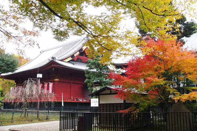 写真 (4枚目) - 今年はどこ行く？東京都心～近郊の「紅葉名所」ランキングTOP5[2020] - LOCARI（ロカリ）