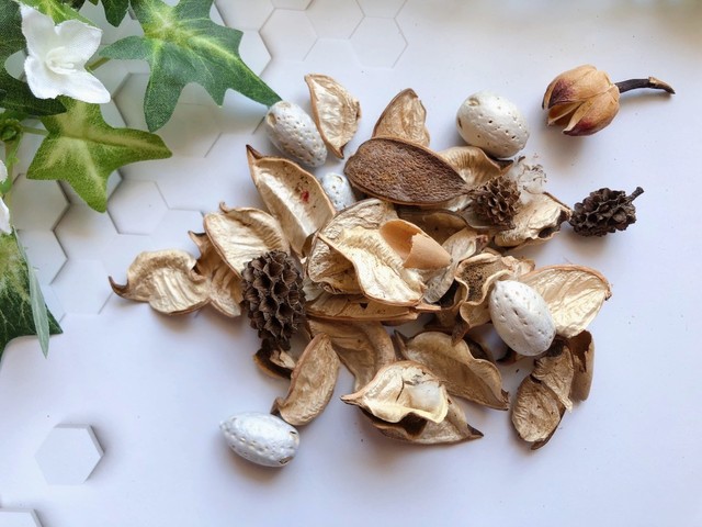 写真 (3枚目) - 再ブームきた〜！[ダイソー]「今年200個買ったマニア」が激推し！魅力の渋滞「意外な定番」 - LOCARI（ロカリ）