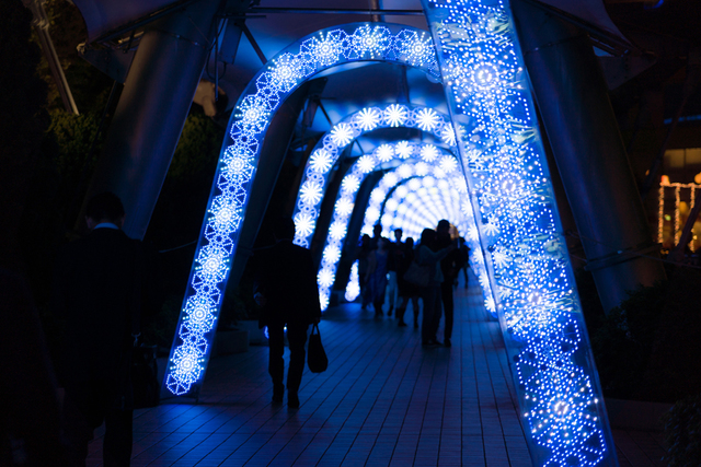 写真 (4枚目) - 冬デートで行きたい！東京のイルミネーション8選[2020-2021] - - LOCARI（ロカリ）