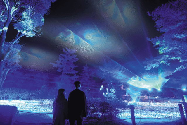 写真 (15枚目) - [2020 - LOCARI（ロカリ）