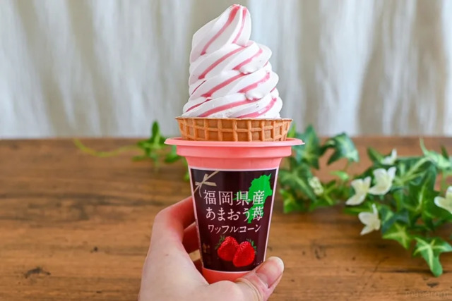 写真 (4枚目) - 365日アイス女子が発表！最新「いちごアイス」おすすめランキングベスト5 - - LOCARI（ロカリ）