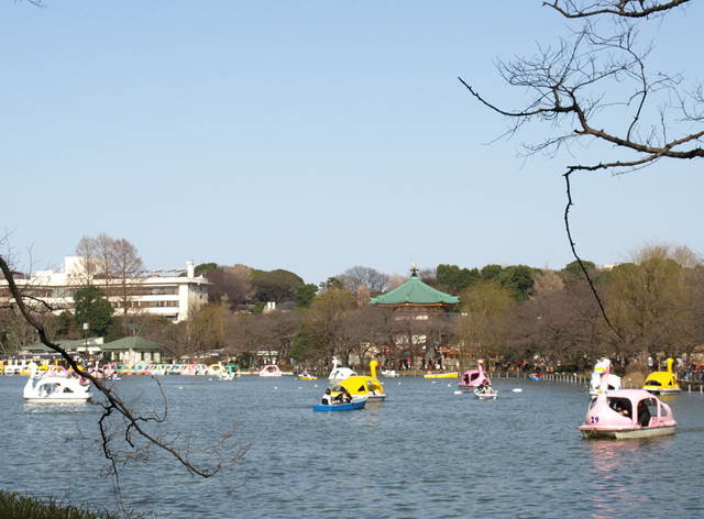 写真 (17枚目) - デートにオススメ！癒し度200％の東京の公園まとめ - LOCARI（ロカリ） - LOCARI（ロカリ）