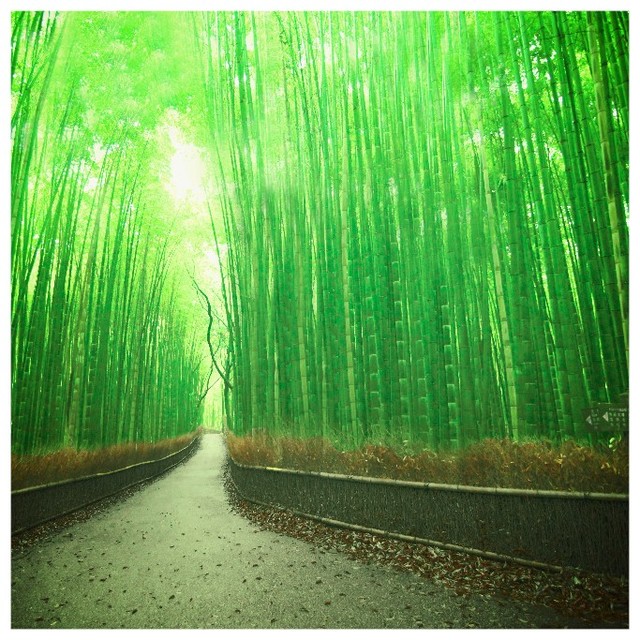 写真 (3枚目) - 「#お気に入りの時間」を投稿♡ナチュラキュア×LOCARIキャンペーンを開催！ - LOCARI（ロカリ）