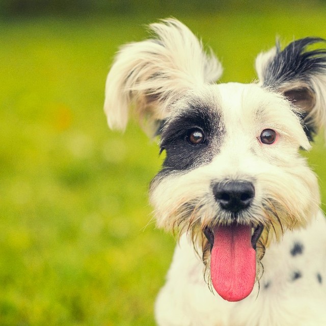 写真 (7枚目) - 「#お気に入りの時間」を投稿♡ナチュラキュア×LOCARIキャンペーンを開催！ - LOCARI（ロカリ）