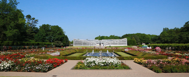 写真 (11枚目) - 「みどりの日」は入場無料！お得な「東京0円」デート5選[2021] - - LOCARI（ロカリ）