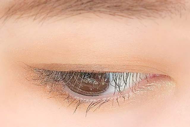 写真 (6枚目) - KATE新作「3Dプロデュースシャドウ」全色レビュー！骨格陰影をプロデュース - - LOCARI（ロカリ）