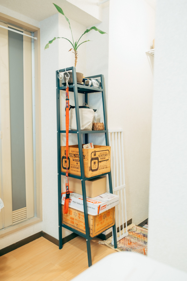 写真 (7枚目) - 愛犬と好きなインテリアを楽しむ、DIYで暮らしやすさにもこだわった1DK - LOCARI（ロカリ）