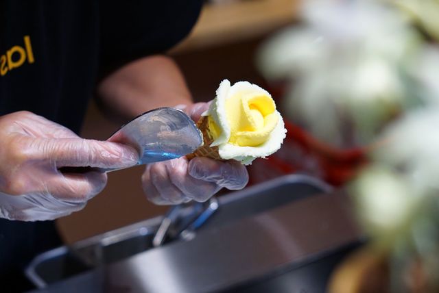 写真 (7枚目) - 横浜のジェラートショップ 「ALL GOOD - LOCARI（ロカリ）