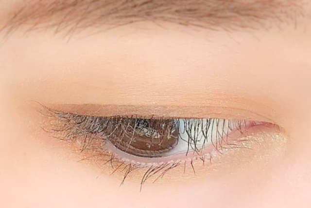 写真 (4枚目) - [KATE・セザンヌ他]ゲットした？ 秋の人気アイシャドウ5選 - LOCARI（ロカリ） - LOCARI（ロカリ）