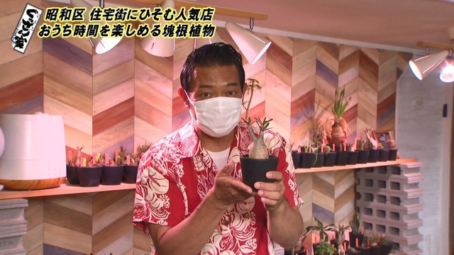 写真 (27枚目) - - LOCARI（ロカリ）