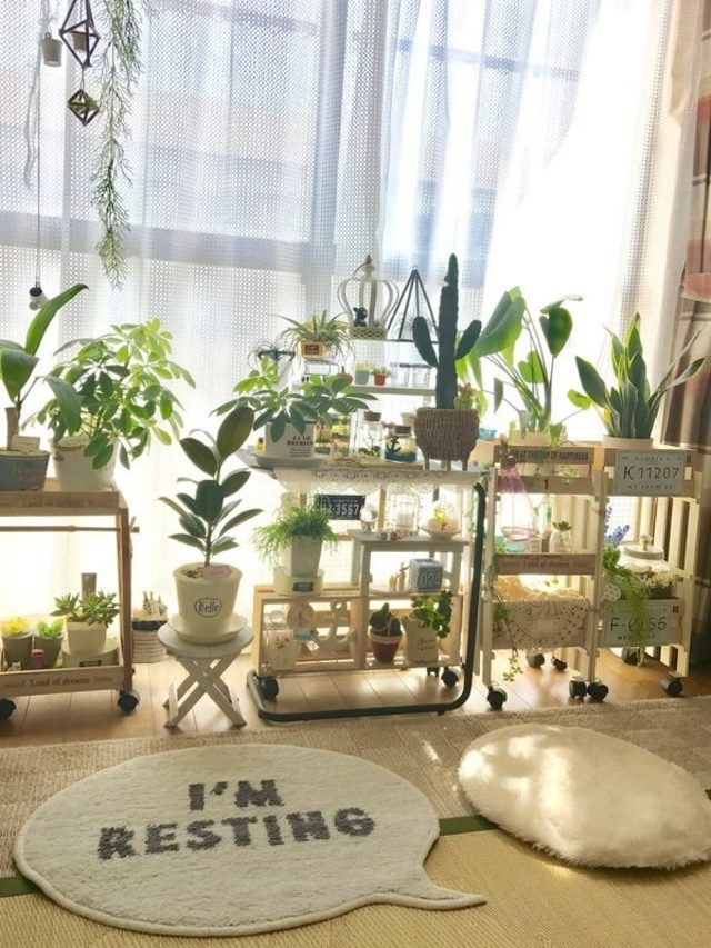 写真 (10枚目) - 《100均》DIY初心者さんも簡単に作れる。ガーデニング棚の作り方・アイデア実例 - LOCARI（ロカリ）