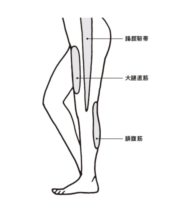 写真 (12枚目) - 脚もヒップも引き締まる! ゆがみ矯正のプロ直伝、下半身に効くストレッチ - LOCARI（ロカリ）