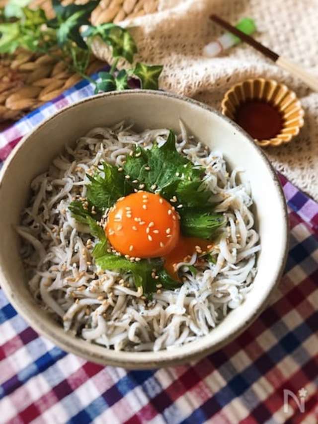 写真 (11枚目) - 忙しい日は丼で簡単ご飯♡10分以内で作る「丼レシピ」 - LOCARI（ロカリ）