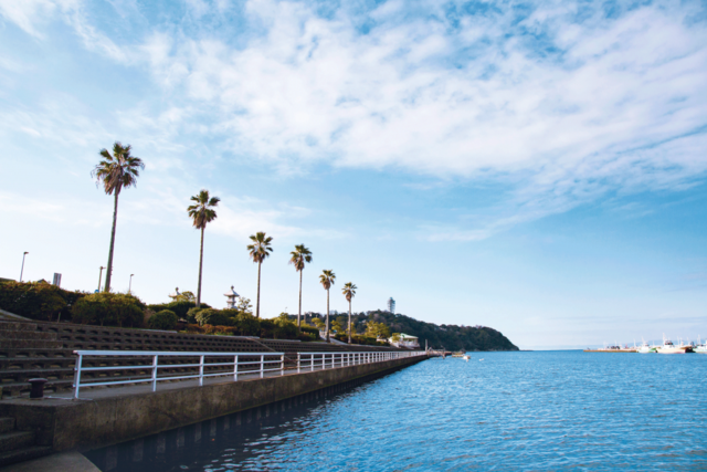 写真 (7枚目) - 今こそ街歩き。電車で巡る“鎌倉・江の島”最旬スポット - LOCARI（ロカリ）