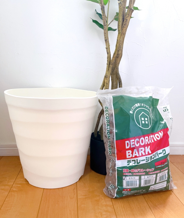 写真 (11枚目) - これが5000円切るってスゲェ…！ニトリの「大きな観葉植物」本物そっくりで癒やされる〜 - LOCARI（ロカリ）