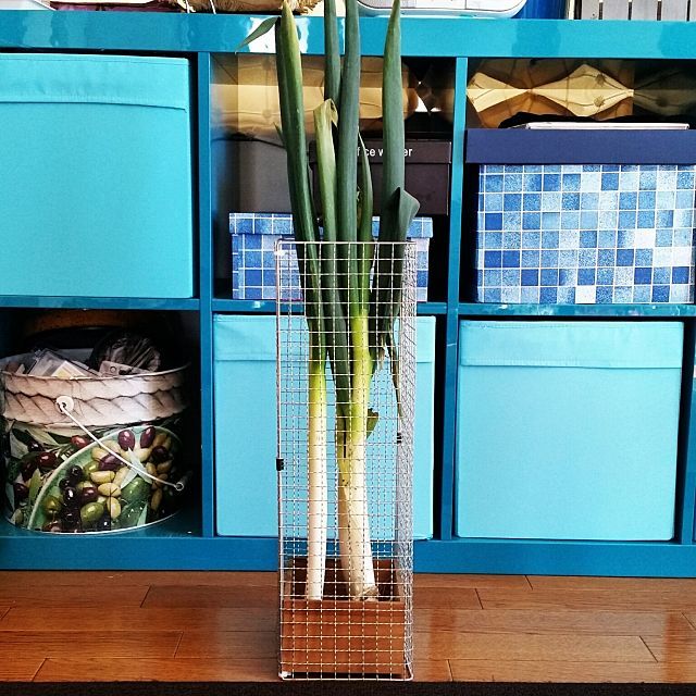 写真 (7枚目) - 形を変えて大活躍！収納にも役立つ「焼き網DIY」アイデア10選 - LOCARI（ロカリ） - LOCARI（ロカリ）