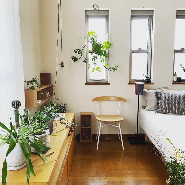 写真 (2枚目) - 木のぬくもりと植物の組み合わせでおだやかに暮らす。1K一人暮らしのインテリア - LOCARI（ロカリ）