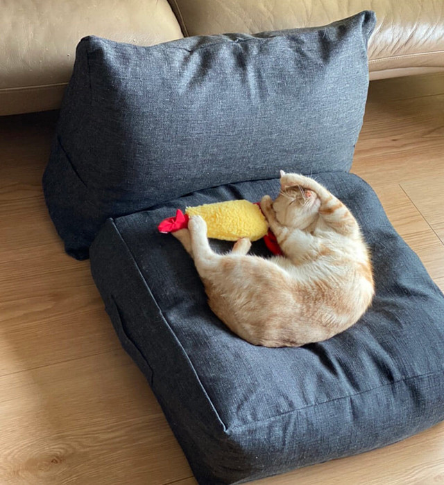 写真 (13枚目) - リビングで「出しっぱなし」が大正解！[万能収納ケース」でかさばる布団もスッキリ！実例3選 - LOCARI（ロカリ）