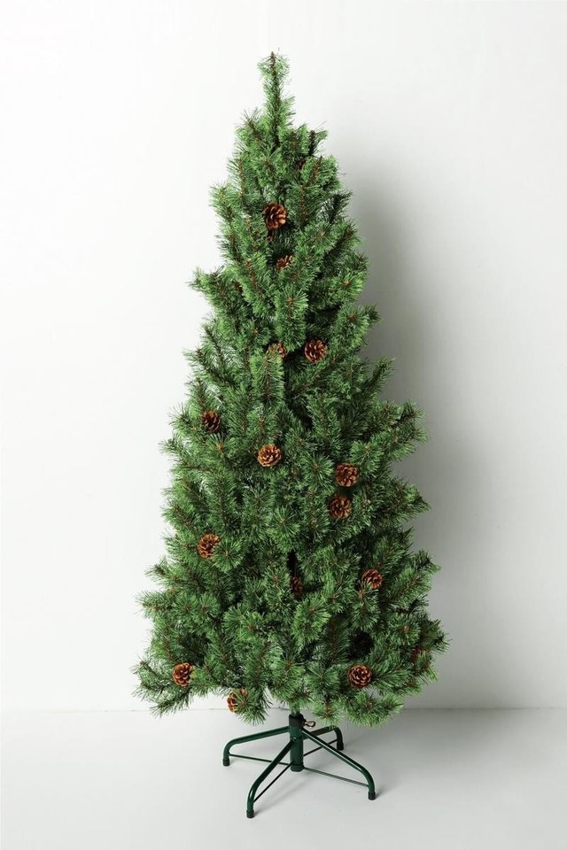 写真 (4枚目) - 1日400点以上売れた！[スタディオクリップ]550円から争奪戦必至!?今しか買えない9選 - LOCARI（ロカリ）