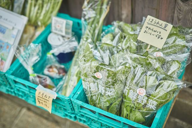 写真 (11枚目) - ならまちの古民家カフェ「よつばカフェ」で手作りの温かさが沁みるフードやスイーツを - LOCARI（ロカリ）