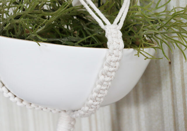 写真 (7枚目) - えっダイソーさん…こんなに手間かかってるのに300円？！専門店が泣いちゃう神コスパグッズ - LOCARI（ロカリ）