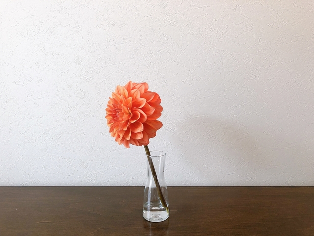 写真 (4枚目) - こんなの憧れてたよ…！[IKEA]の「99円インテリア」お部屋の生活感が消えちゃった！ - LOCARI（ロカリ）