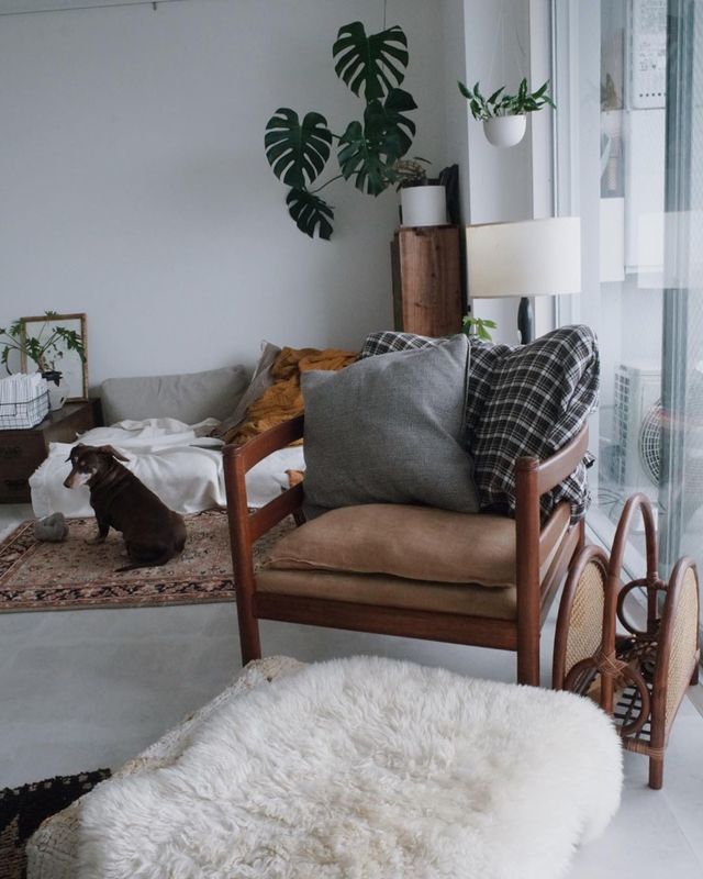 写真 (4枚目) - 自分にフィットする「掘り出し物」と暮らす。ヴィンテージ×グリーンの1LDKインテリア - LOCARI（ロカリ）