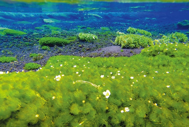 写真 (6枚目) - おでかけすれば運気UP! 2023年の“パワースポット”8選 - LOCARI（ロカリ） - LOCARI（ロカリ）